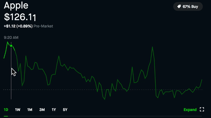 How to Read the Robinhood Stock Details